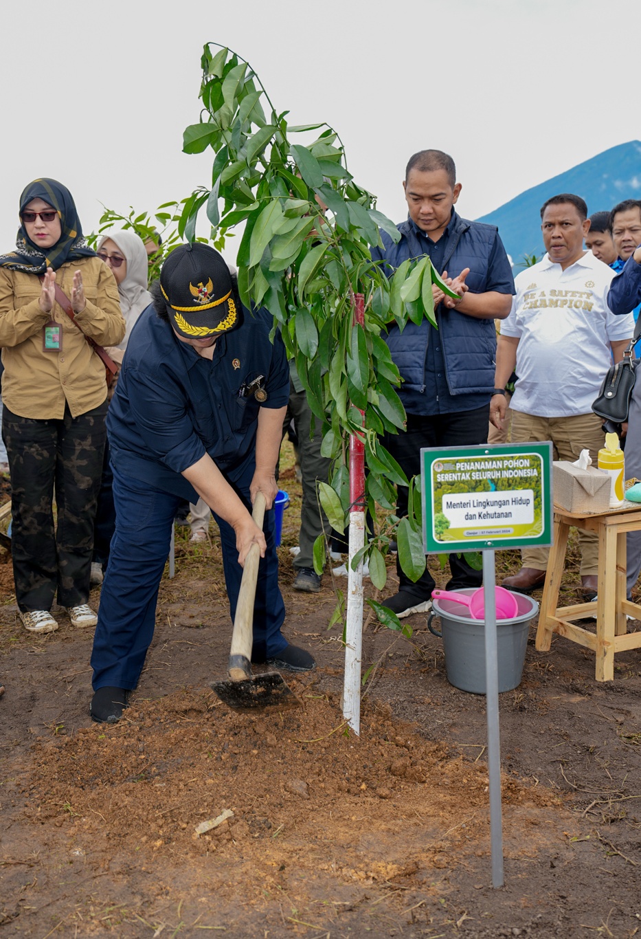Kementerian LHK Kembali Tanam Pohon Serentak di Seluruh Wilayah - Suara ...
